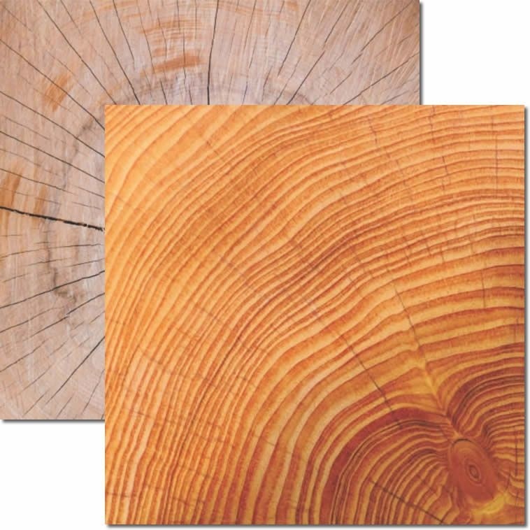 Papel Arte Fácil Artesanato | Loja do Papel